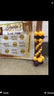 College Trunk Party Step and Repeat Backdrop – Dream Design Group